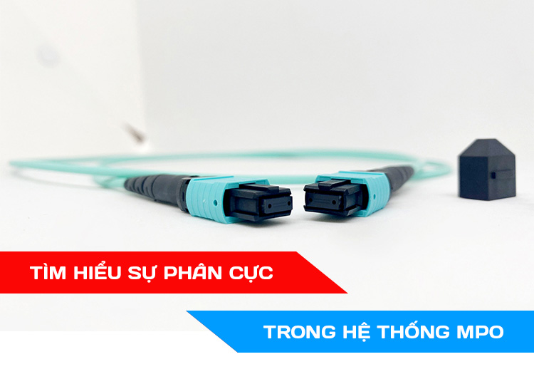 Tìm hiểu sự phân cực trong hệ thống MPO - VTXVN