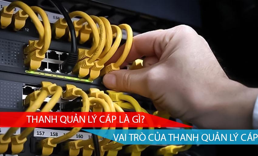 Thanh quản lý cáp là gì? Vai trò của thanh quản lý cáp trong tủ rack ...